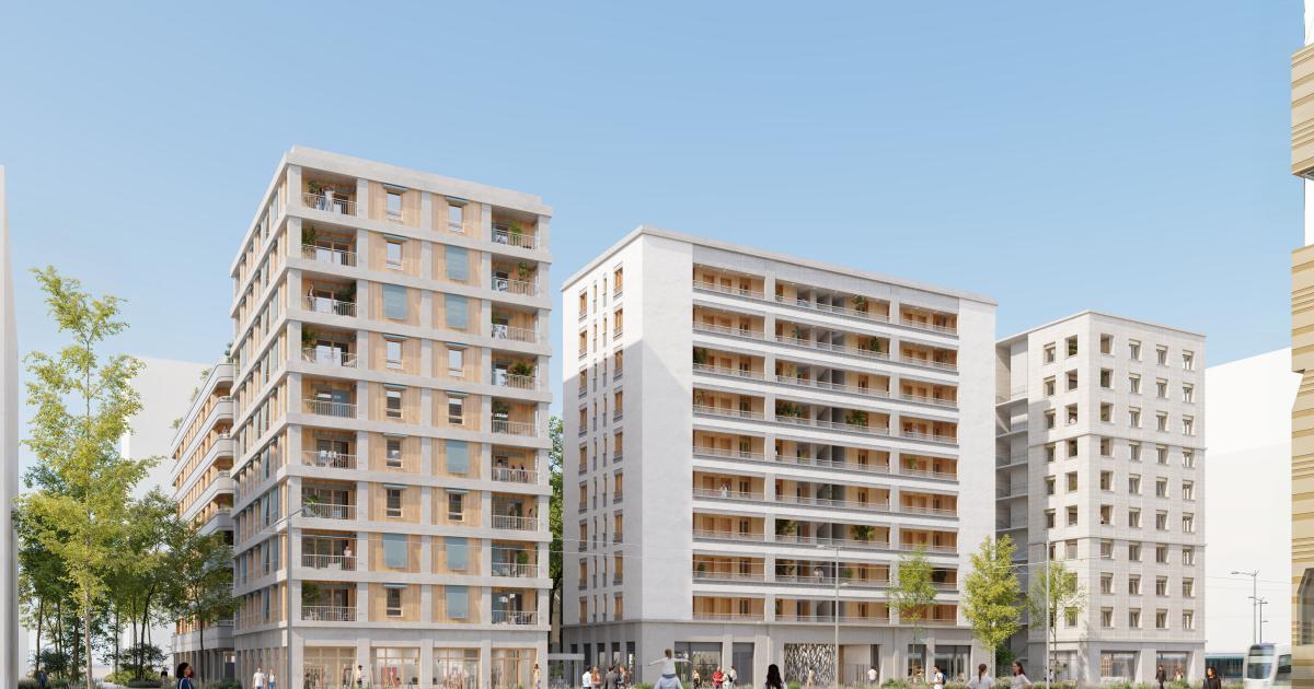 D3 BLOCK, OBJECTIVE: AFFORDABLE HOUSING | Lyon Confluence