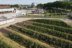 Attraction Terrestre… | Lyon Confluence